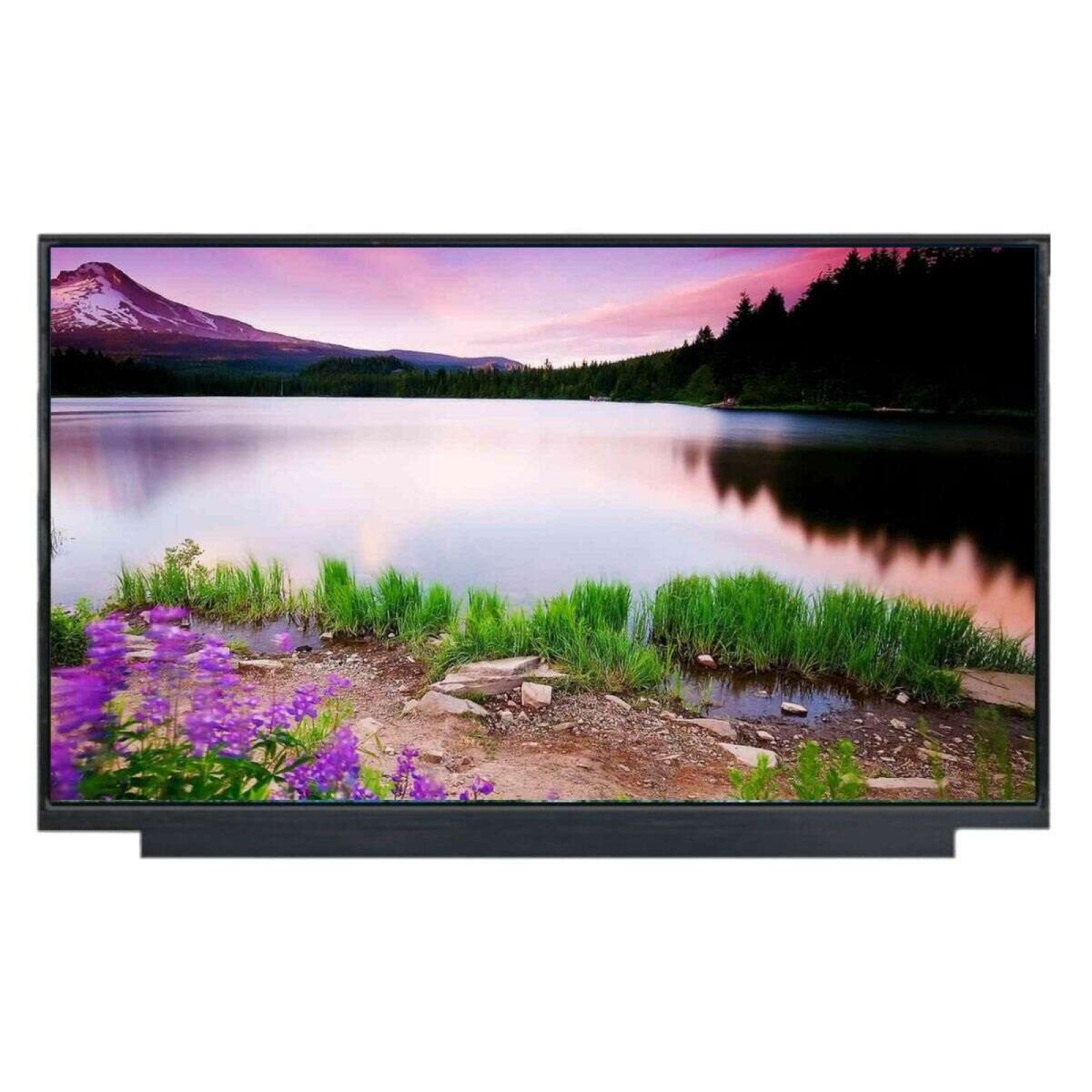 MSI Laptop Screens : Buy MSI Katana A17 AI B8VG-868IN 144Hz ...