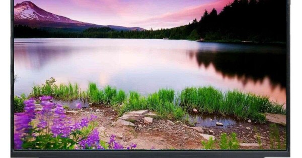 Asus Laptop Screens : Buy ASUS TUF A15 FA566NCR-HN054WS 144Hz ...