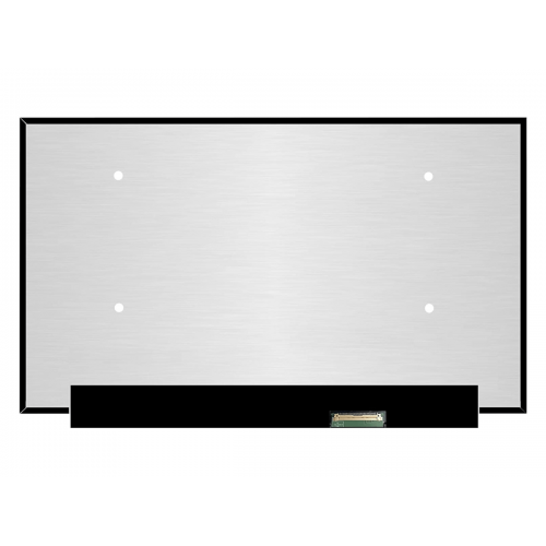 Buy ASUS ROG Strix G713PV-LL074X 240Hz QHD Screen In India ...