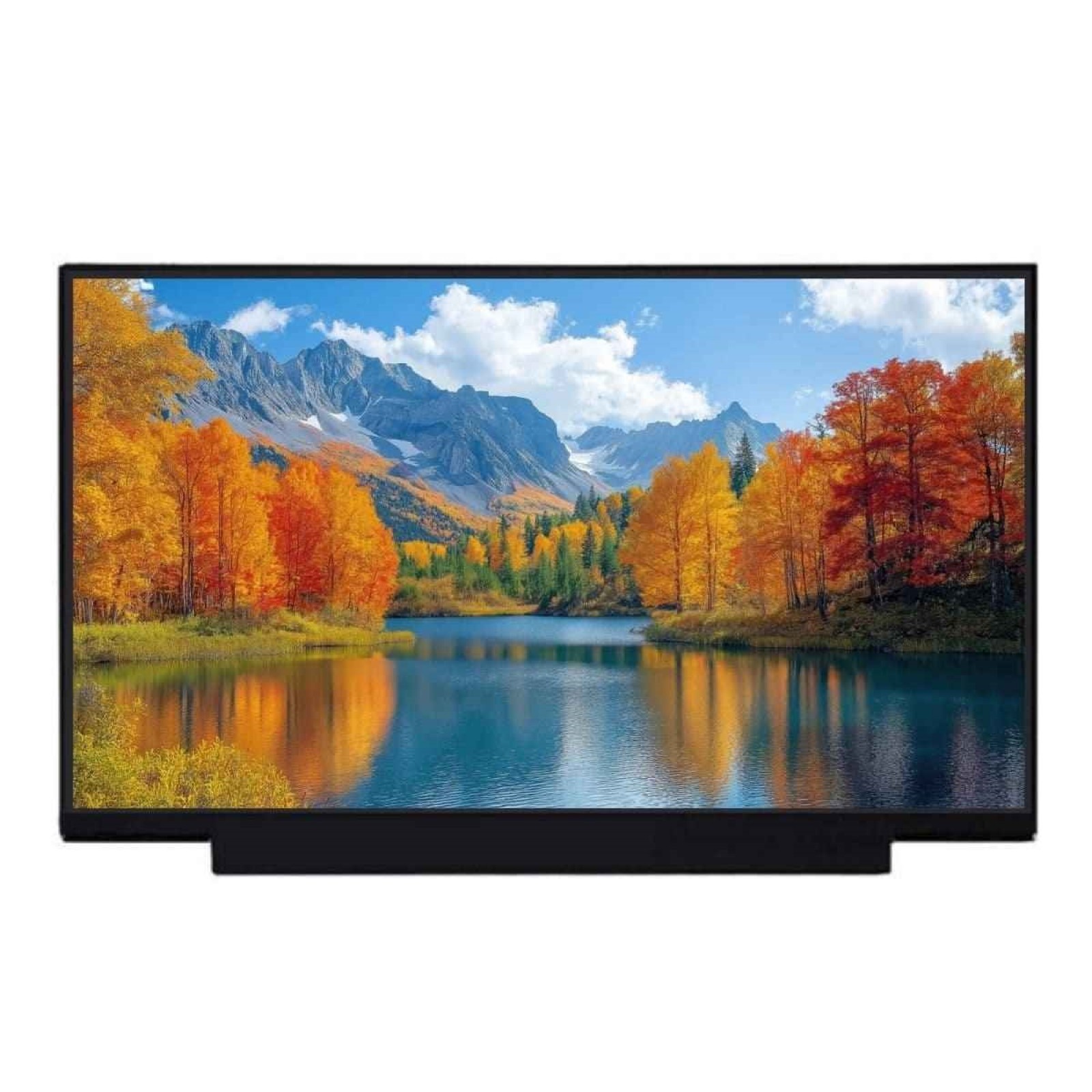 Buy HP VICTUS 16-d0300TX 16.1" 60Hz FHD Screen in India ...